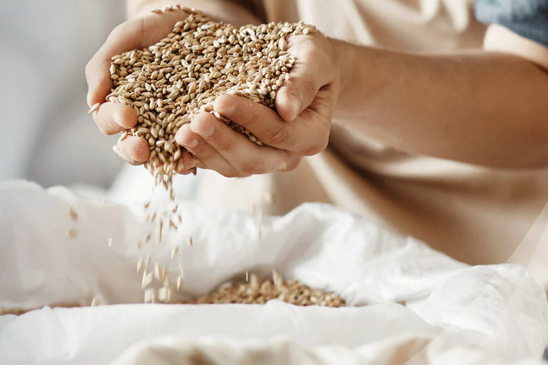 Gomaps - Wholesale Korean Asian Food & Restaurant Supply Distributor ...